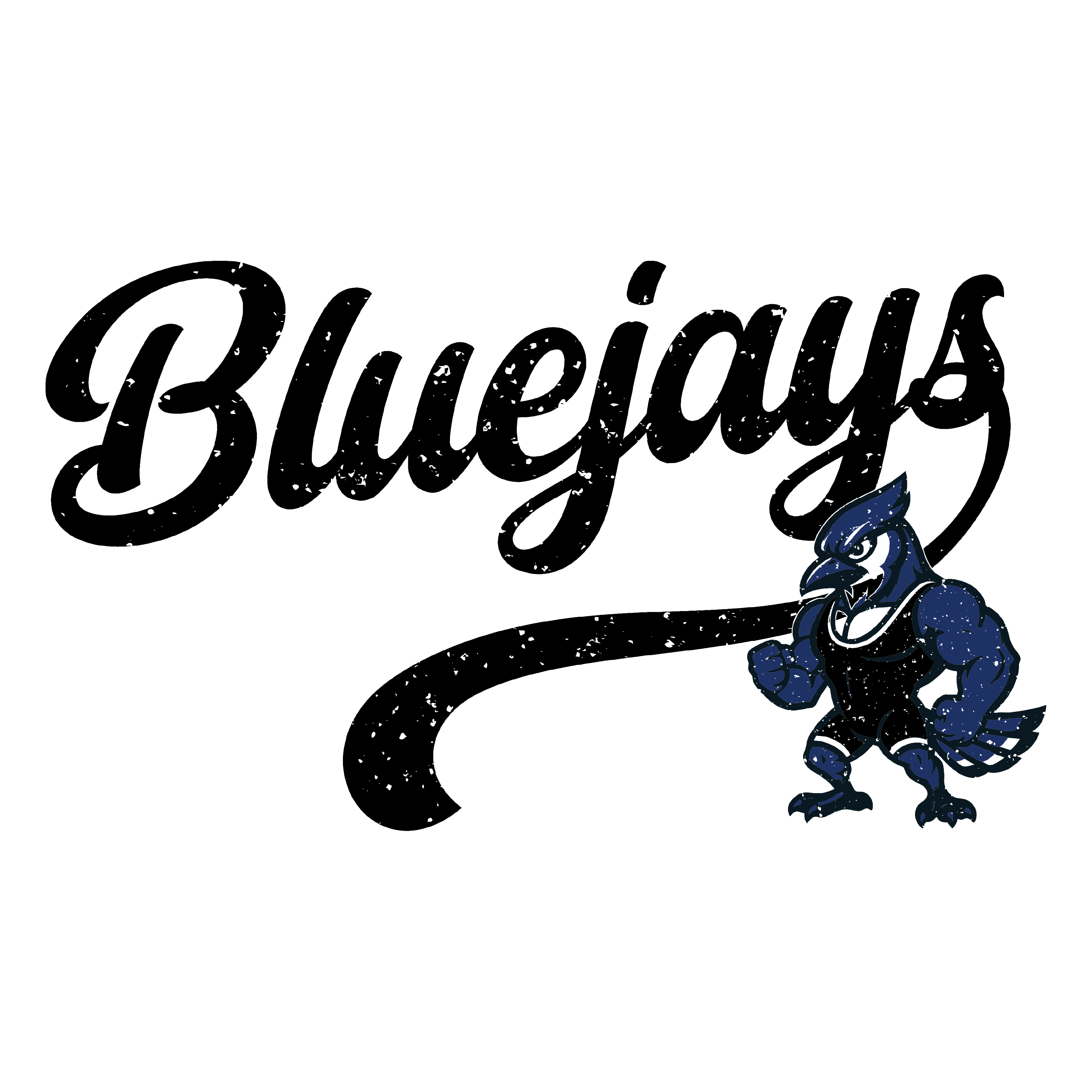 SKW Bluejays – Custom Life Co.