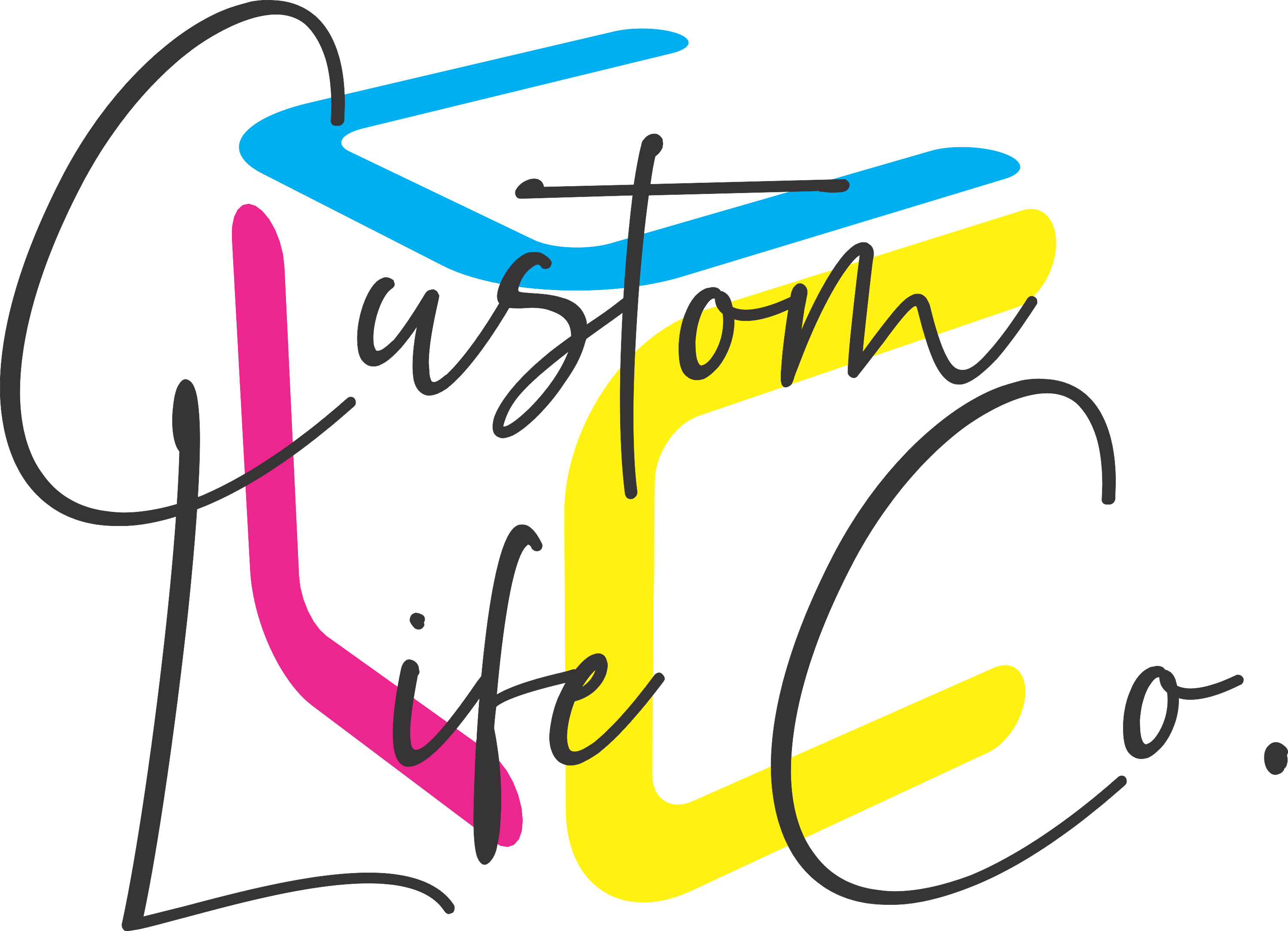 Themes & Collections – Custom Life Co.